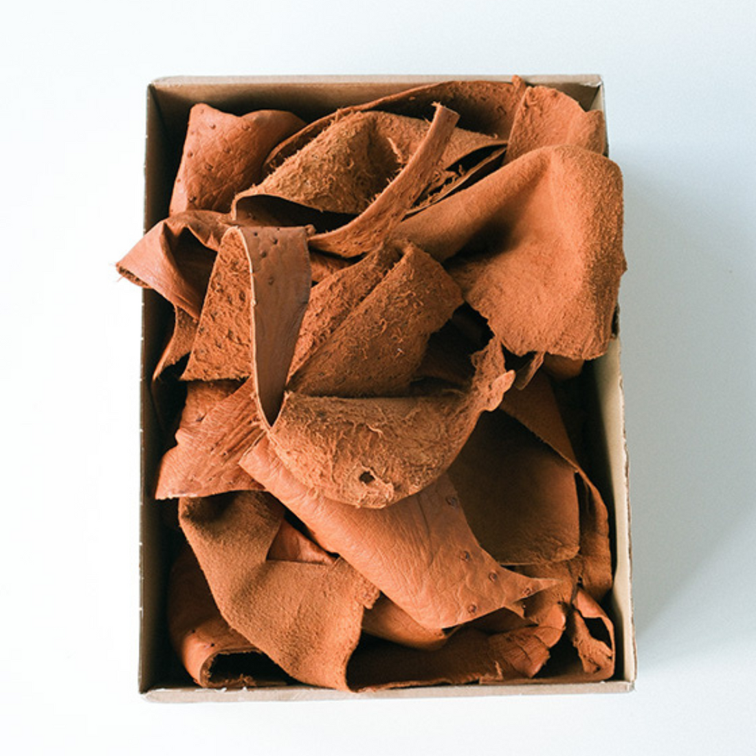 LWG Certification : L’engagement responsable de la Maison | LANCEL – Lancel